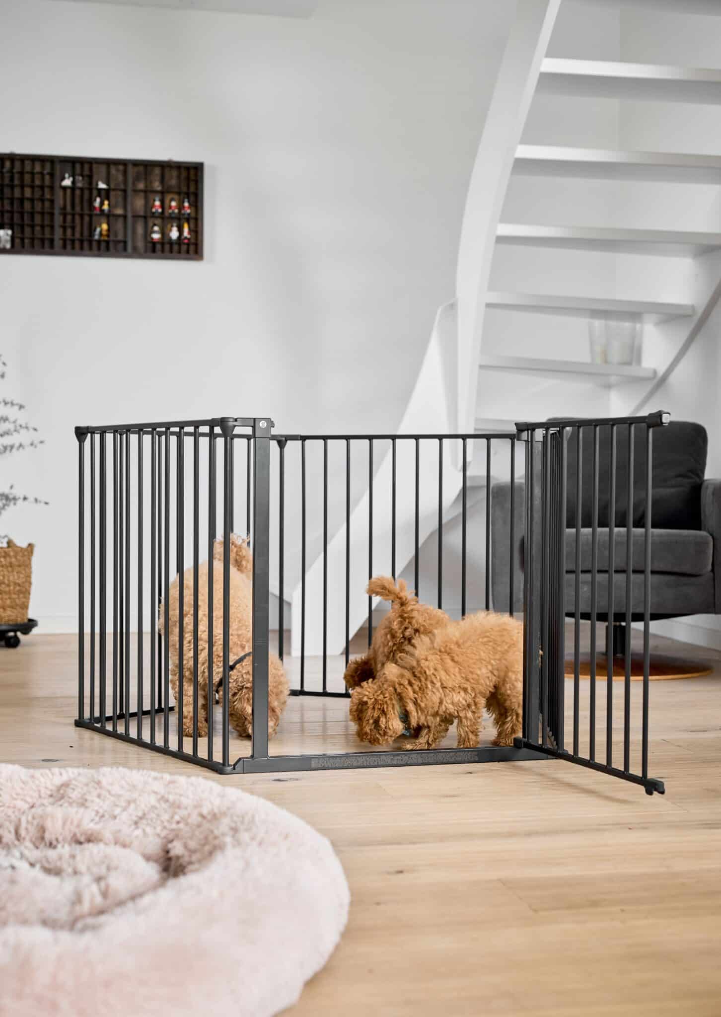 DogSpace Max multi expandable Pet room divider, black – Qpet